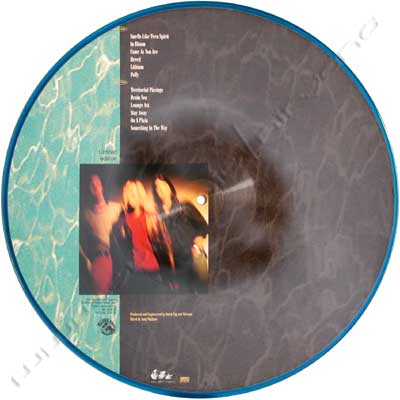 Nirvana Nevermind Back Cover